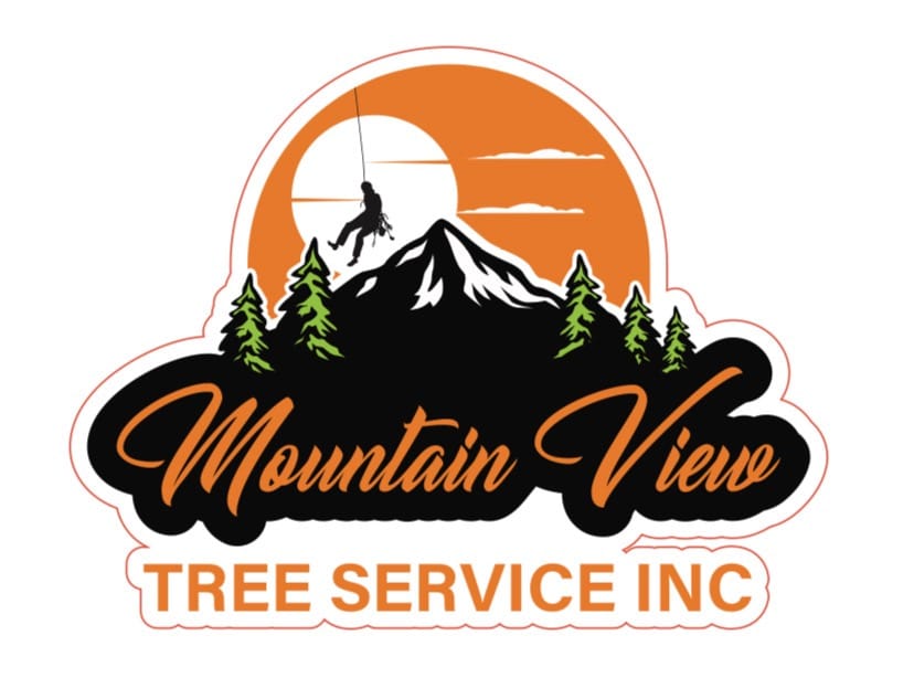 Mountain View Tree Service | Maple Ridge, Abbotsford & PoCo
