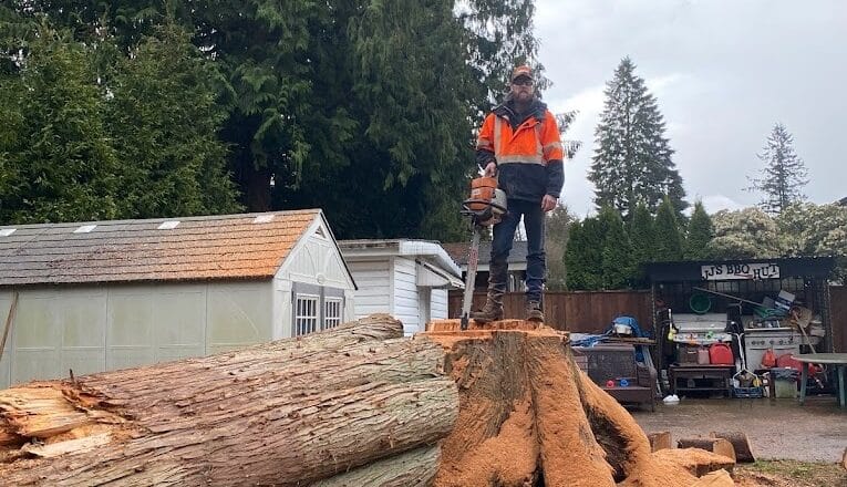 bizpic9 | Mountain View Tree Service